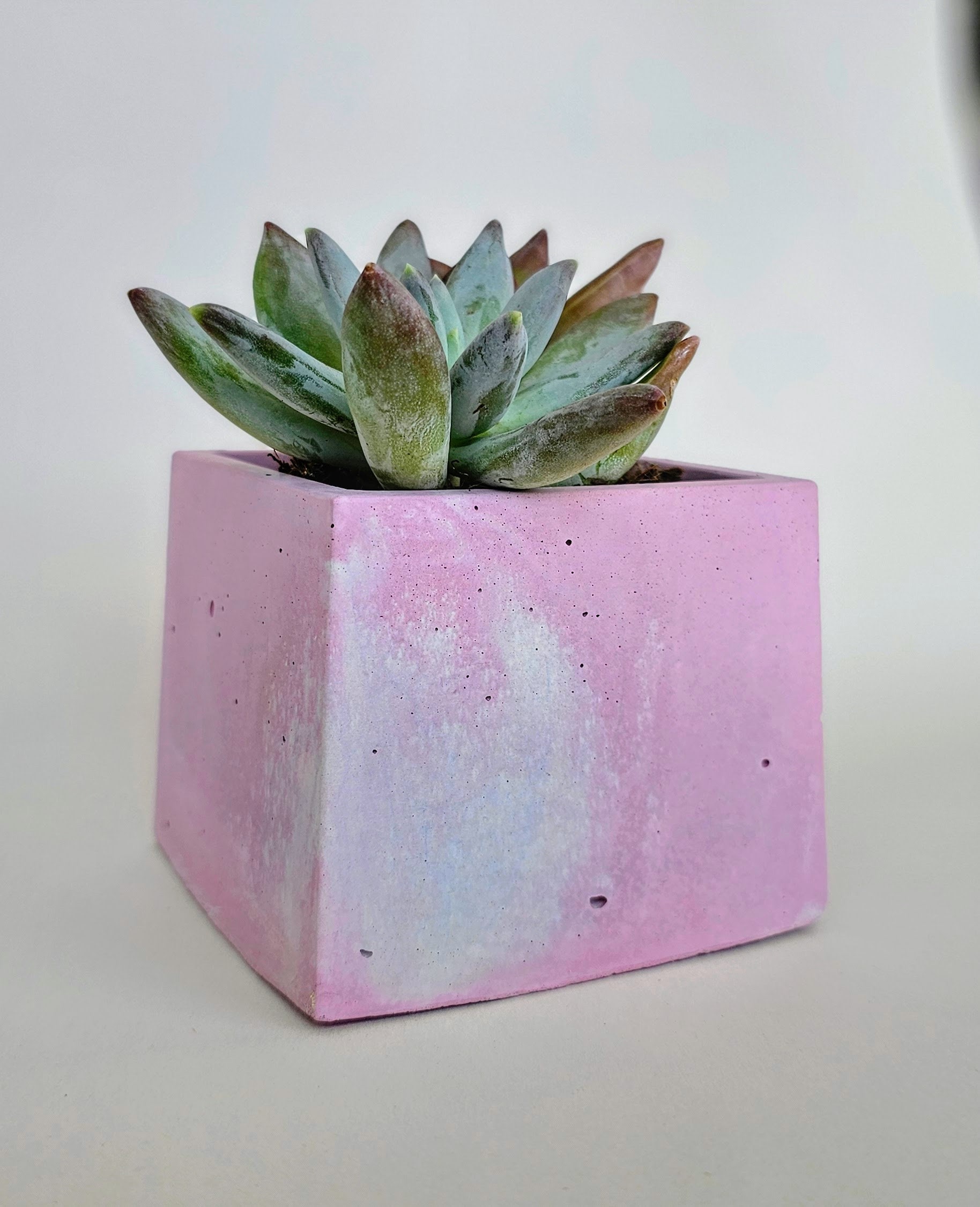 Cement Flower Pot - Etsy