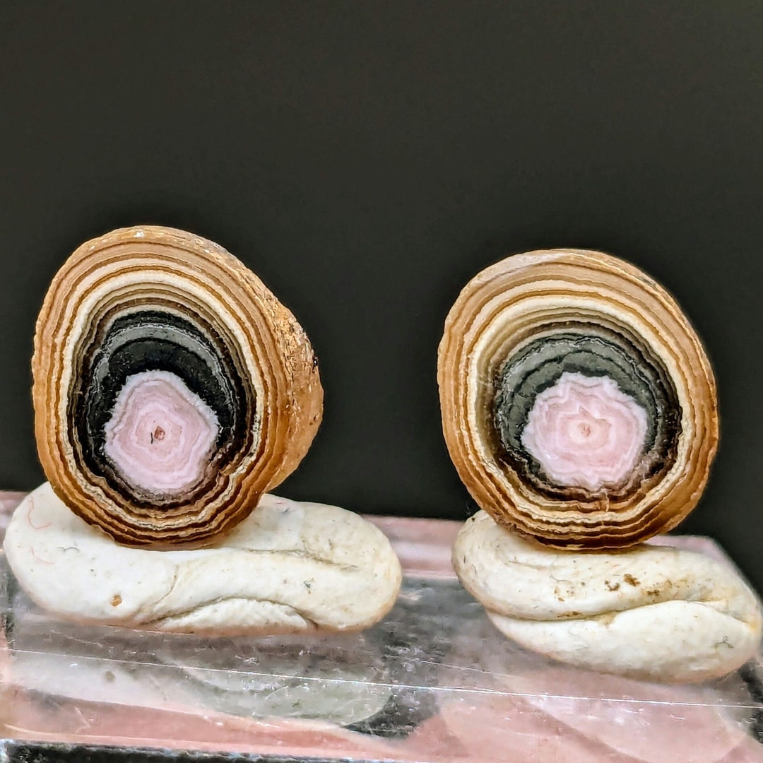 Rhodochrosite Stalactite Cross Section Cut and Polished, From the ...