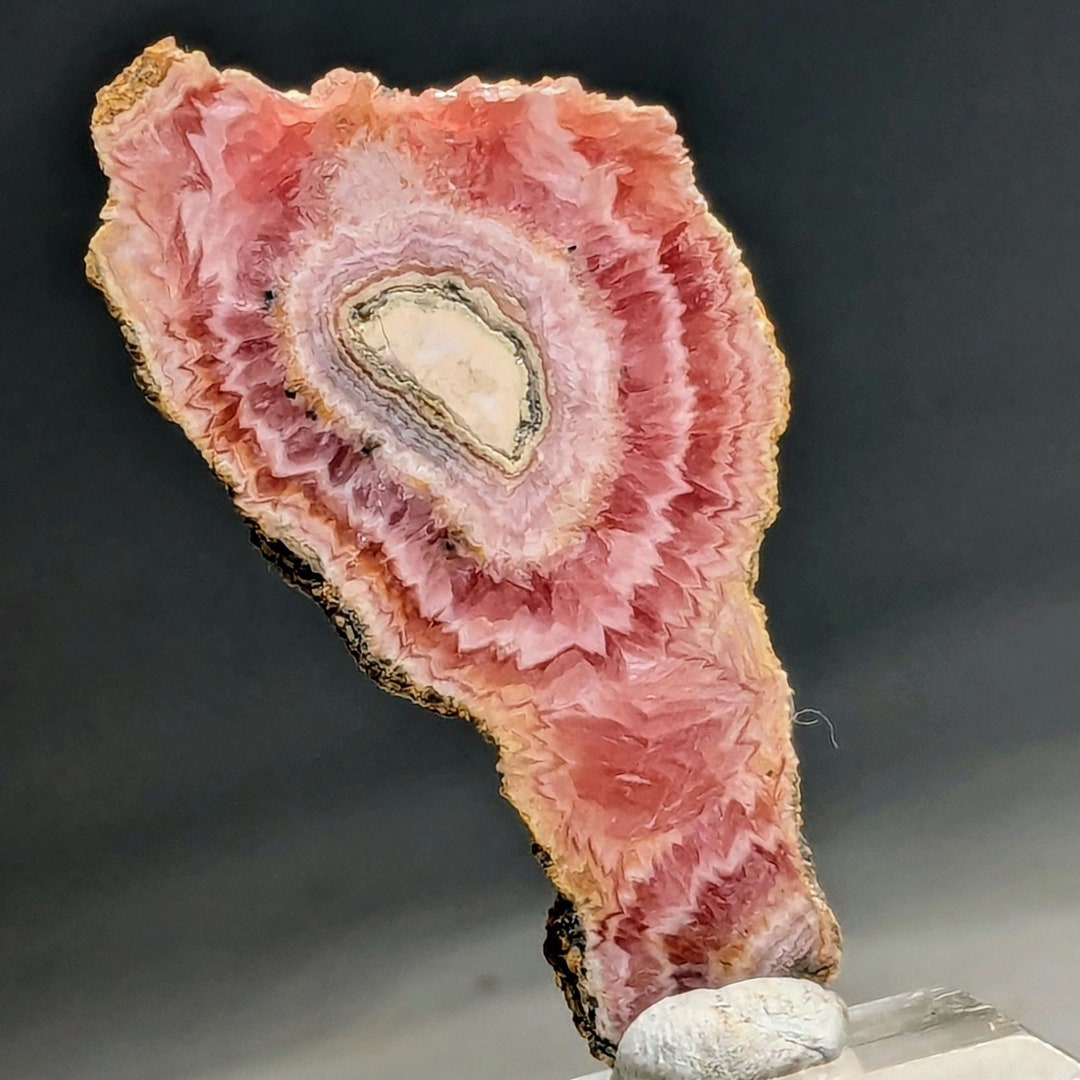 Rhodochrosite Stalactite Cross Section Cut and Polished, From the ...
