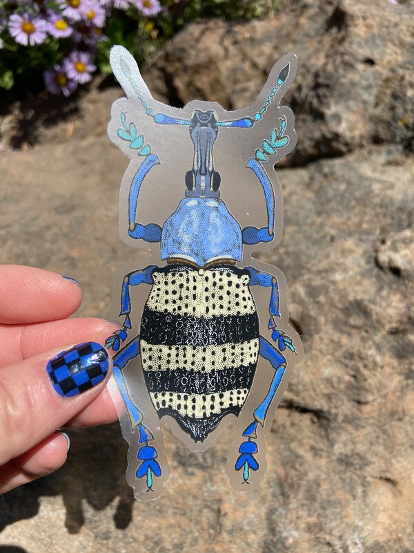 Red Cherry Shrimp Sticker Shrimp Sticker Aquarium Gift Shirt Hobby ...