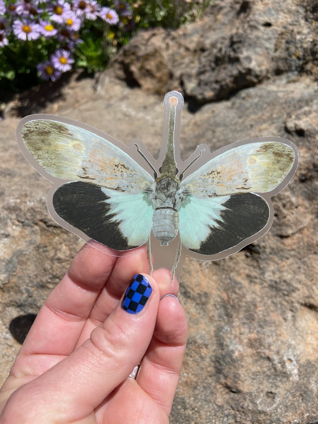 Malaysian Plant Hopper pyrops Pyrorhyncha 3.28 X - Etsy UK