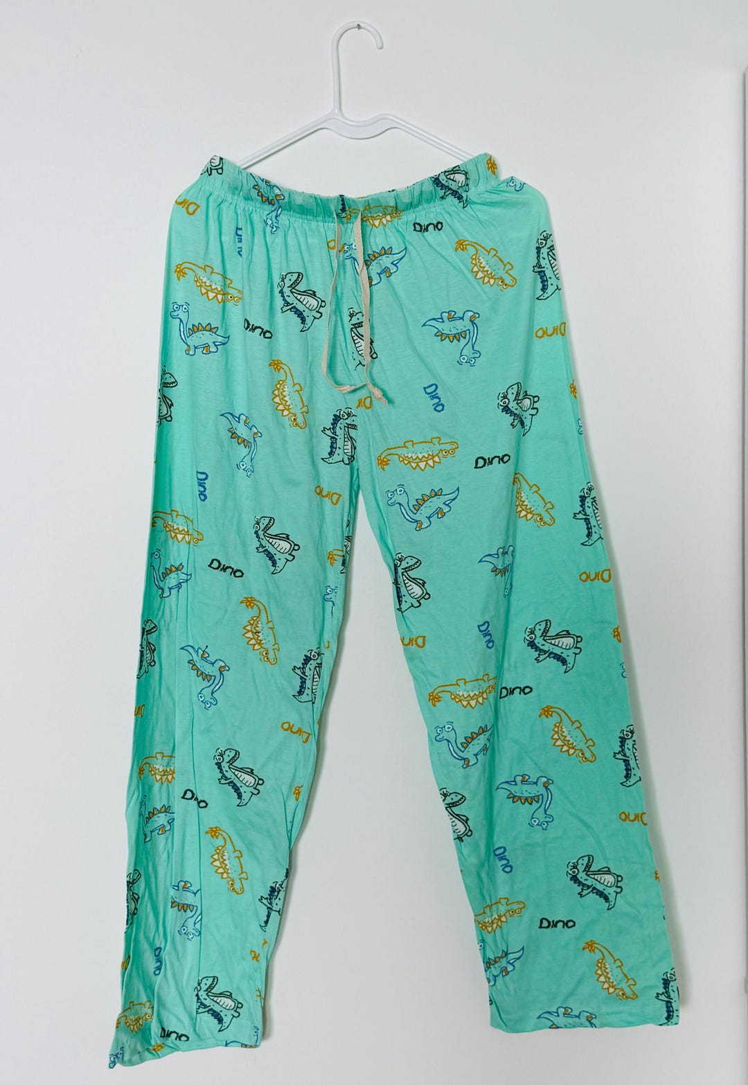 Super Soft Cotton Dinosaur Pajama Pants for Women – Mint Green Dino ...