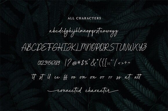 Fashionista Font, Lovely Font, Branding Font, Wedding Font, Swash Font ...