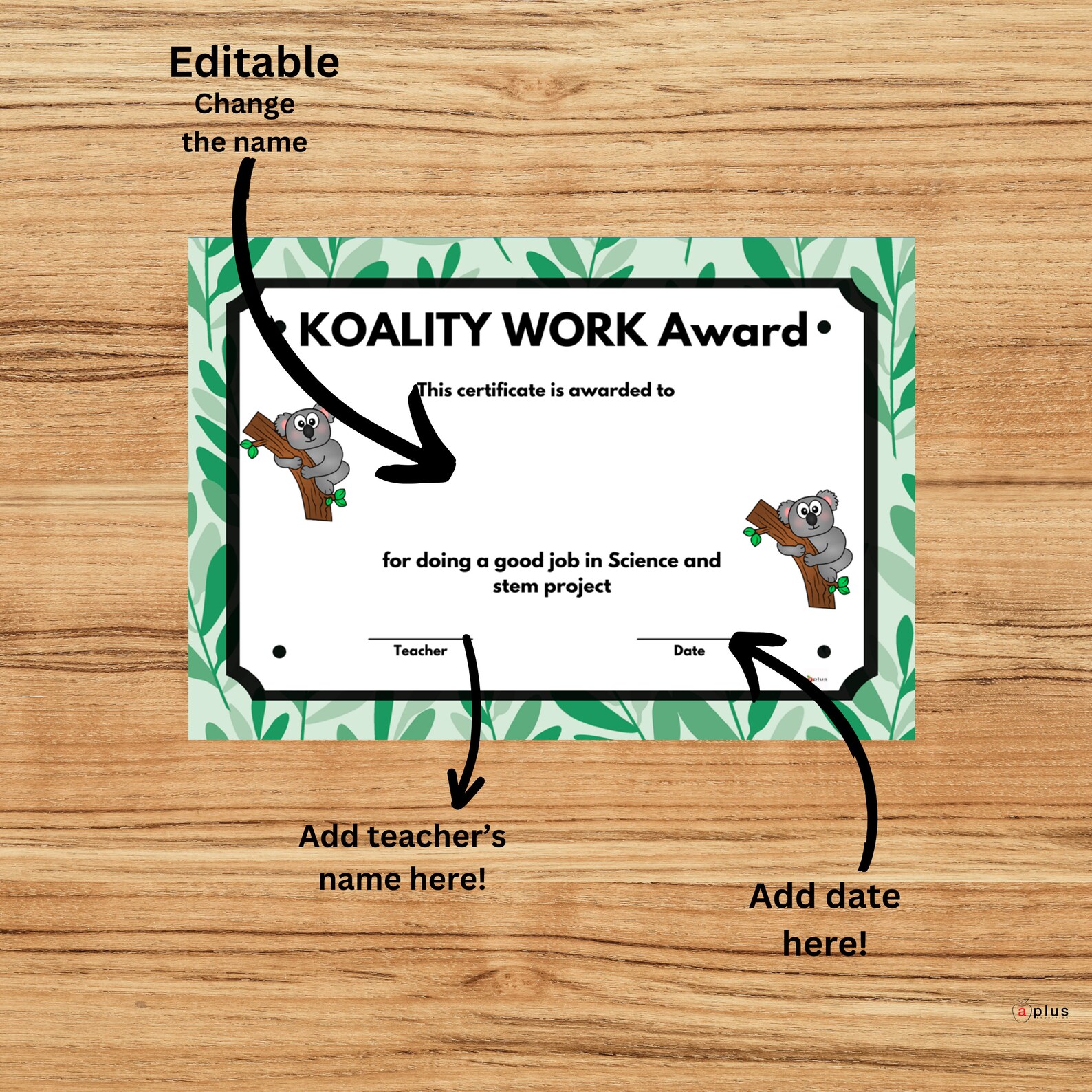 Editable Animal Themed End of Year Awards - Etsy