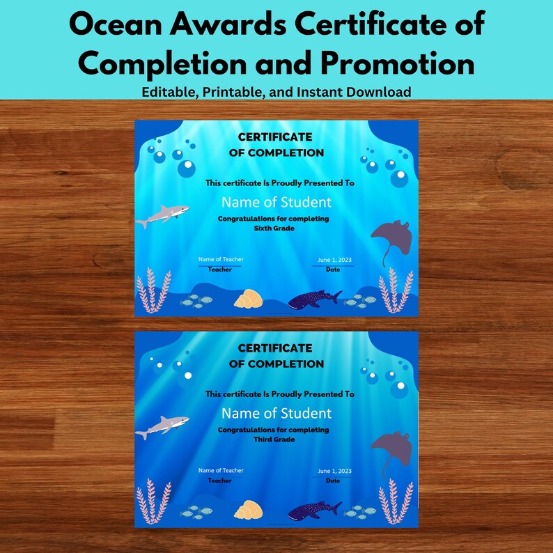 Certificate of Completion and Promotion Ocean Themed End of Year ...