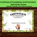 Certificate of Completion and Promotion Red Panda Theme End of Year ...