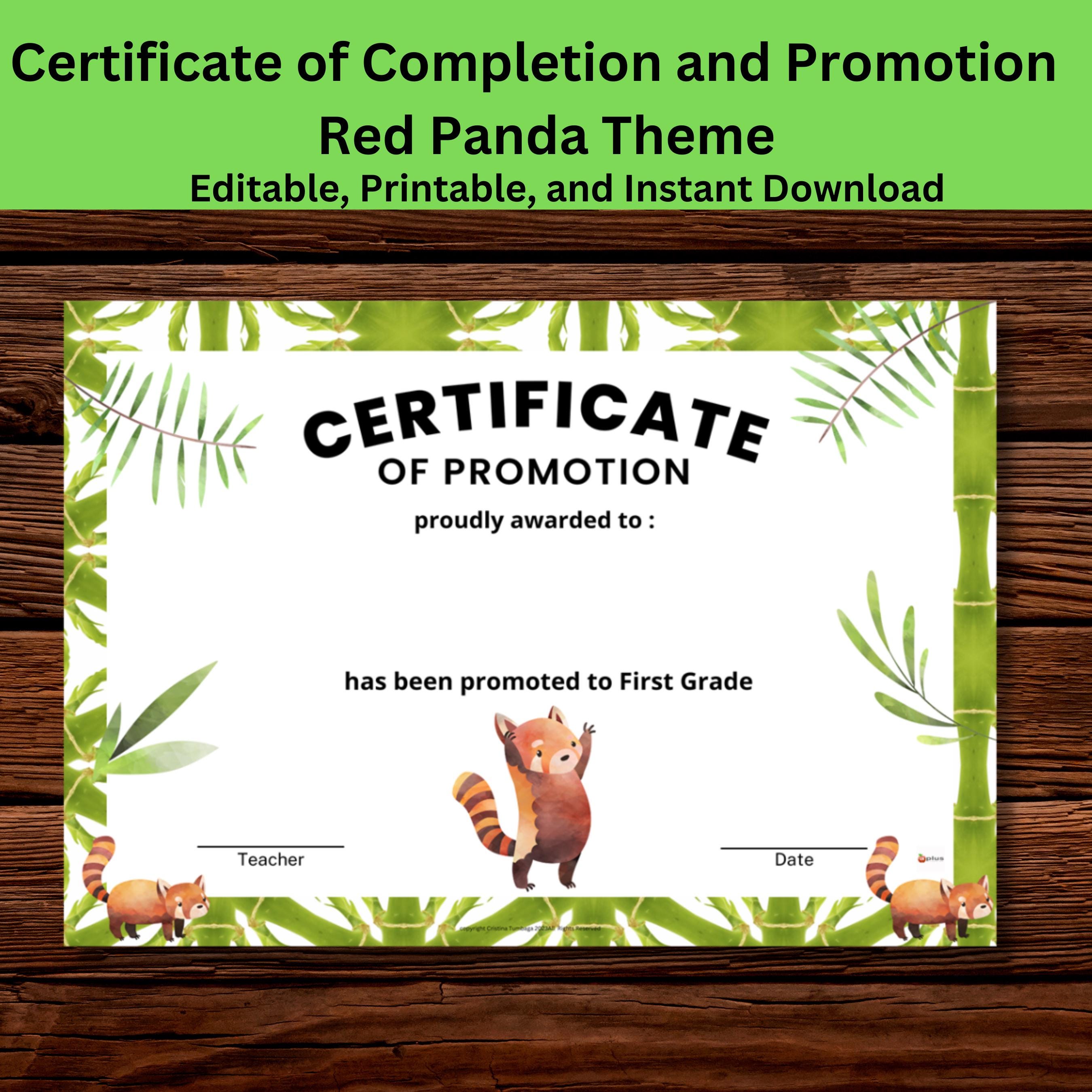 Certificate of Completion and Promotion Red Panda Theme End of Year ...