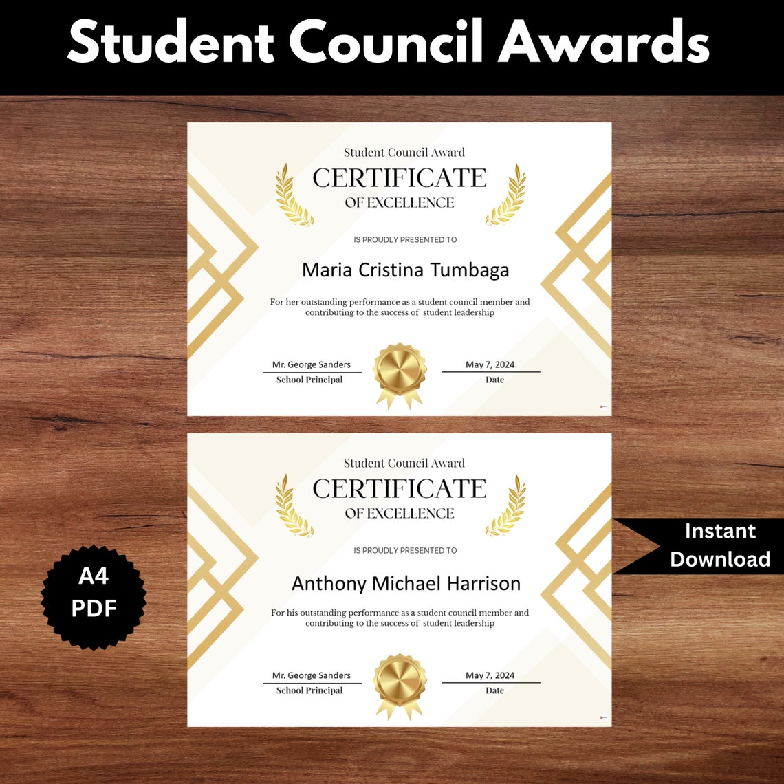 Editable Student Council Award Certificates (powerpoint & PDF) - Etsy