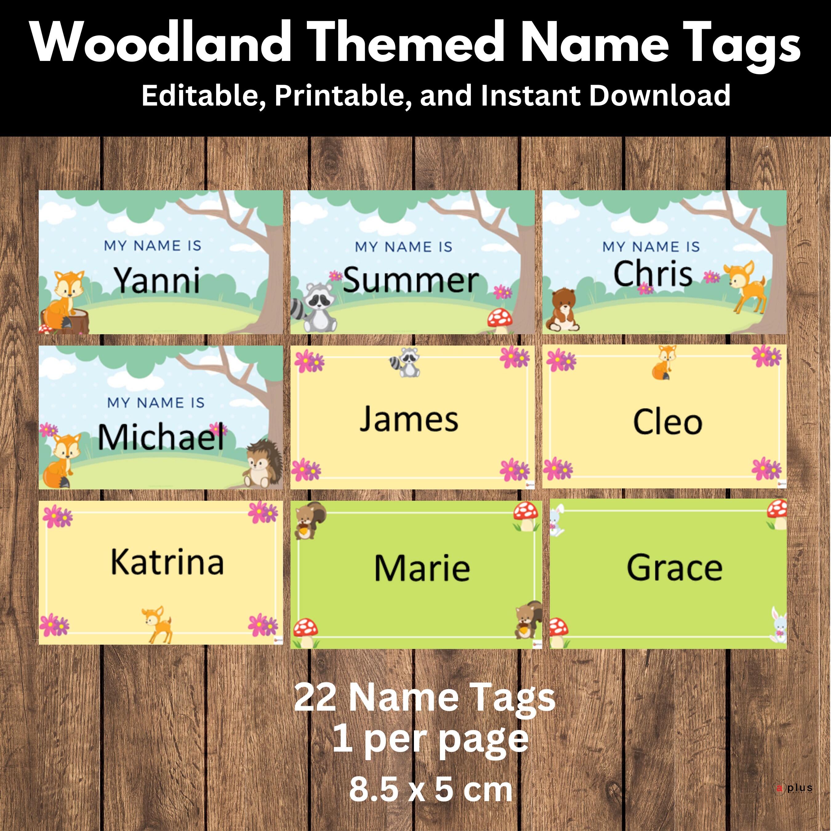 Adorable Woodland Name Plates for Classroom Organization Student Name ...