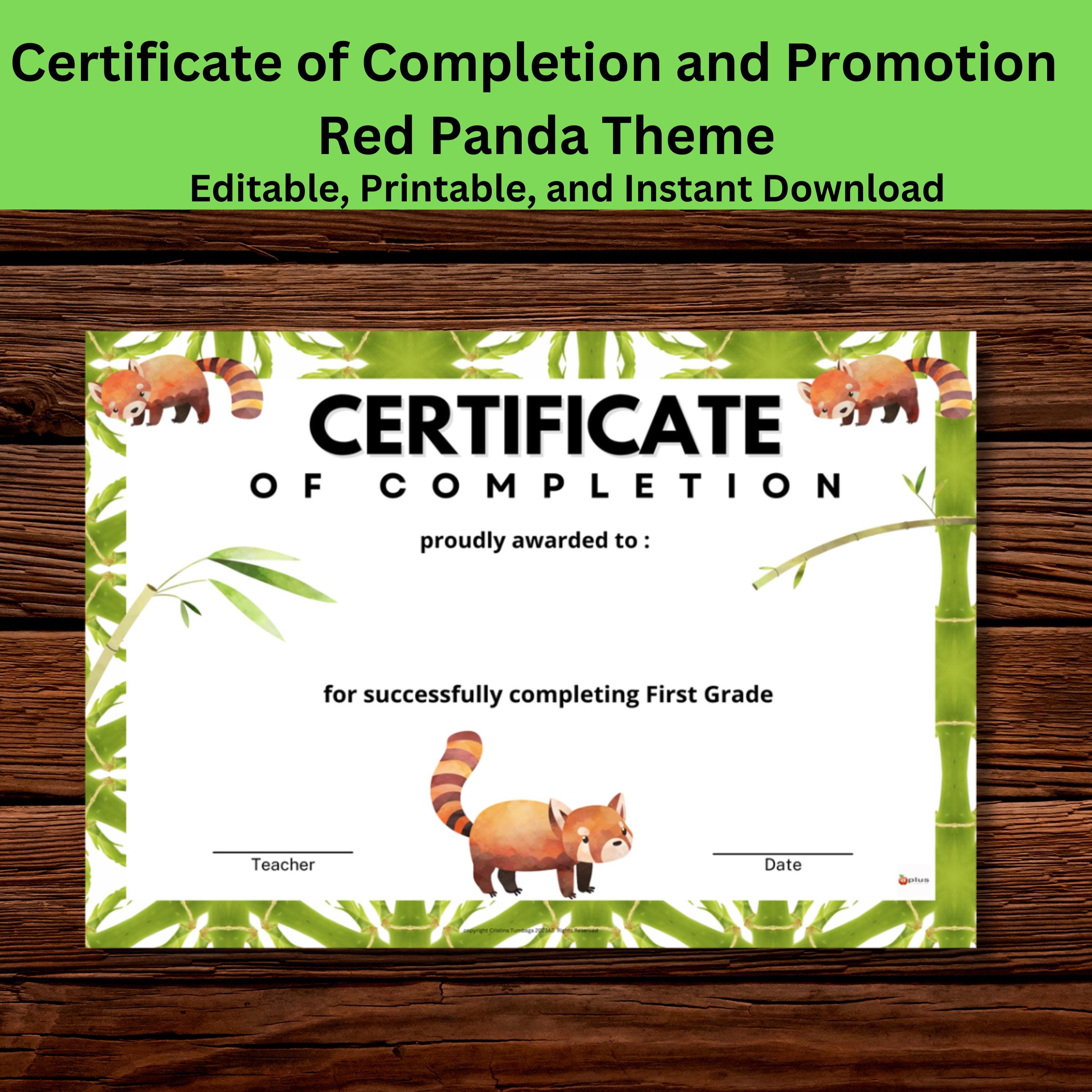 Certificate of Completion and Promotion Red Panda Theme End of Year ...