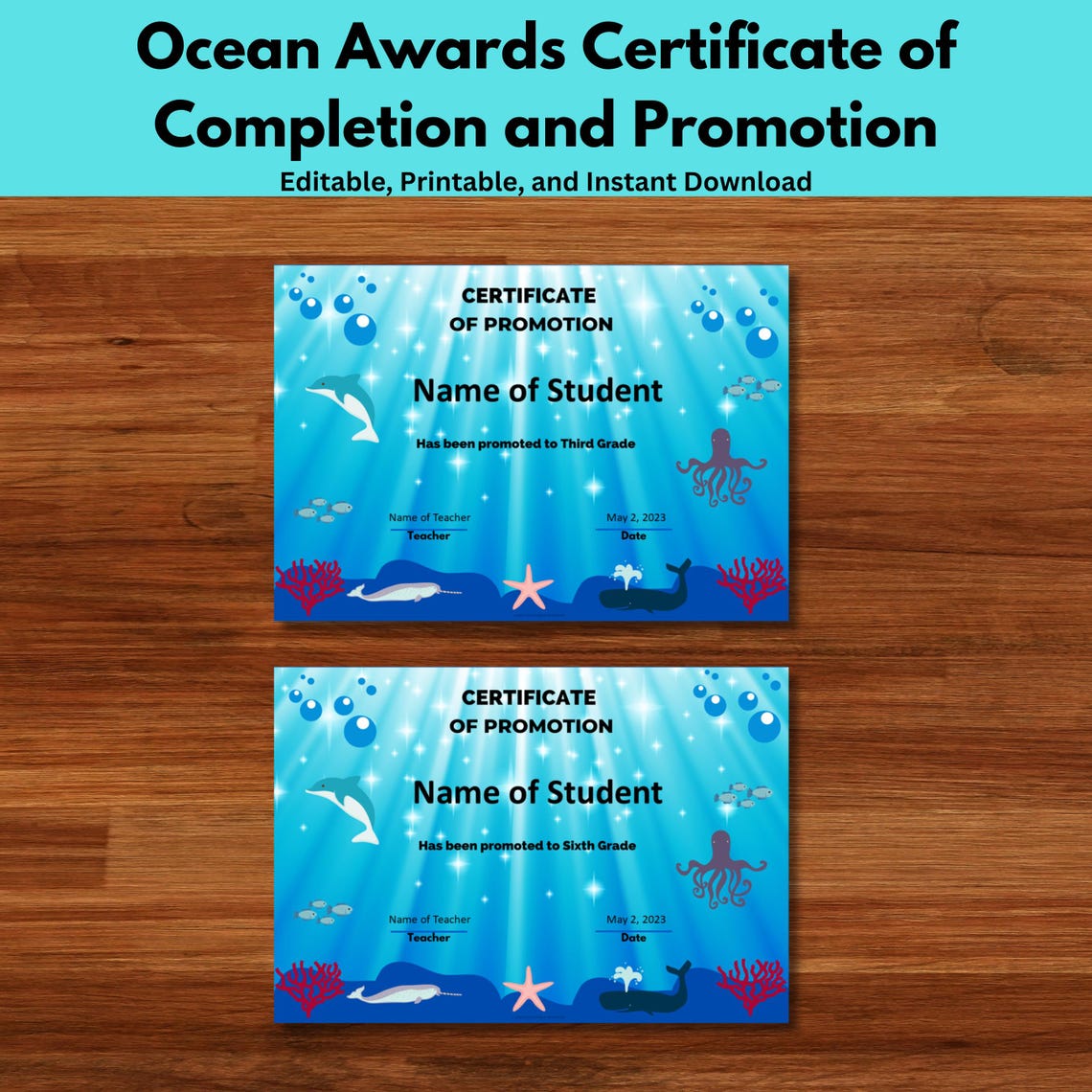 Certificate of Completion and Promotion Ocean Themed End of Year ...