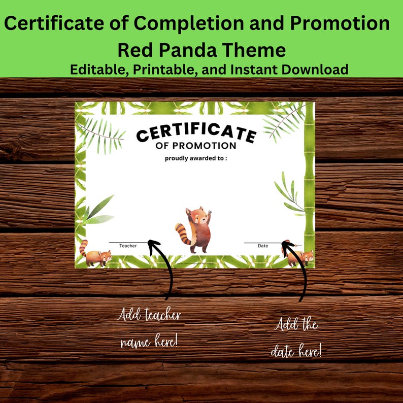 Certificate of Completion and Promotion Red Panda Theme End of Year ...