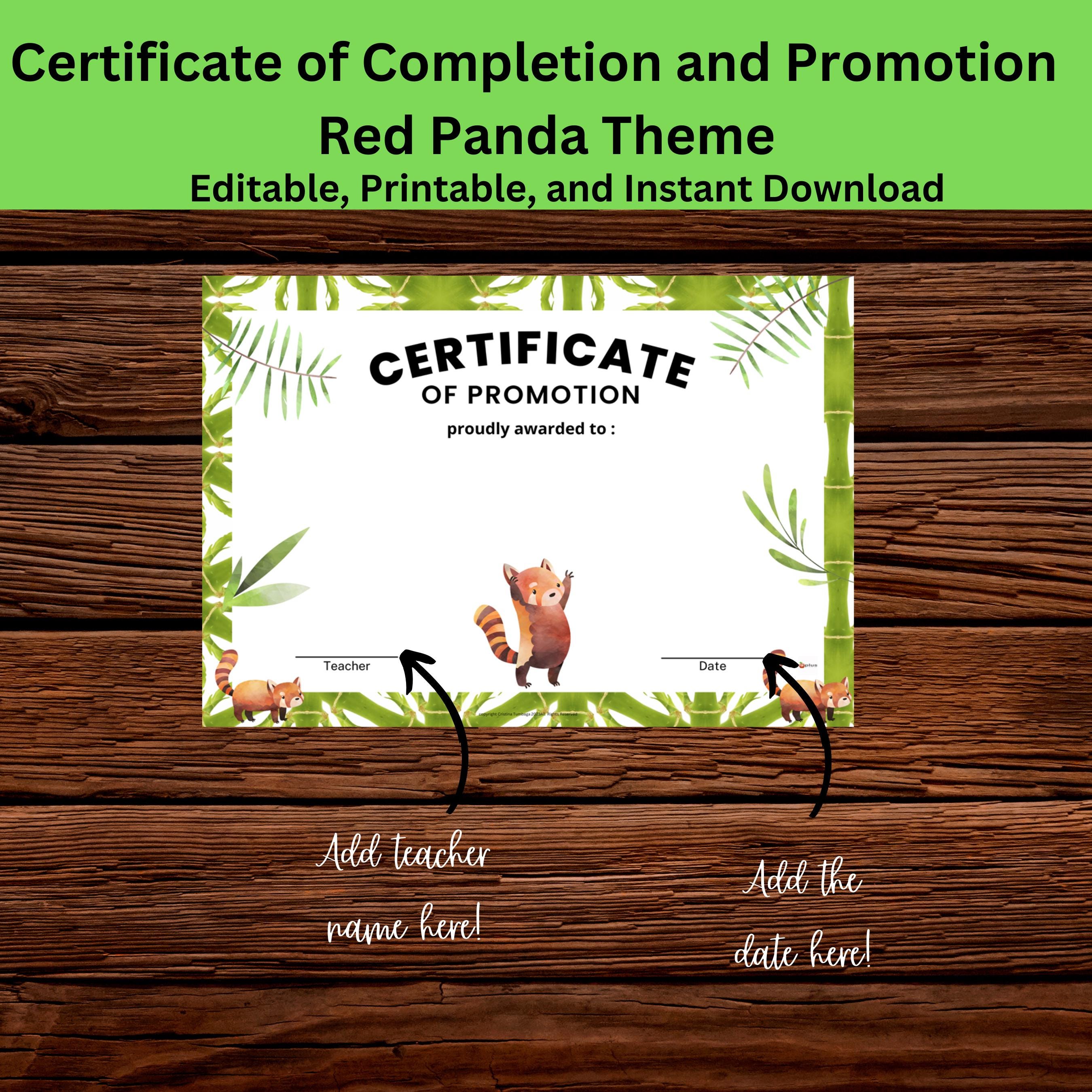 Certificate of Completion and Promotion Red Panda Theme End of Year ...