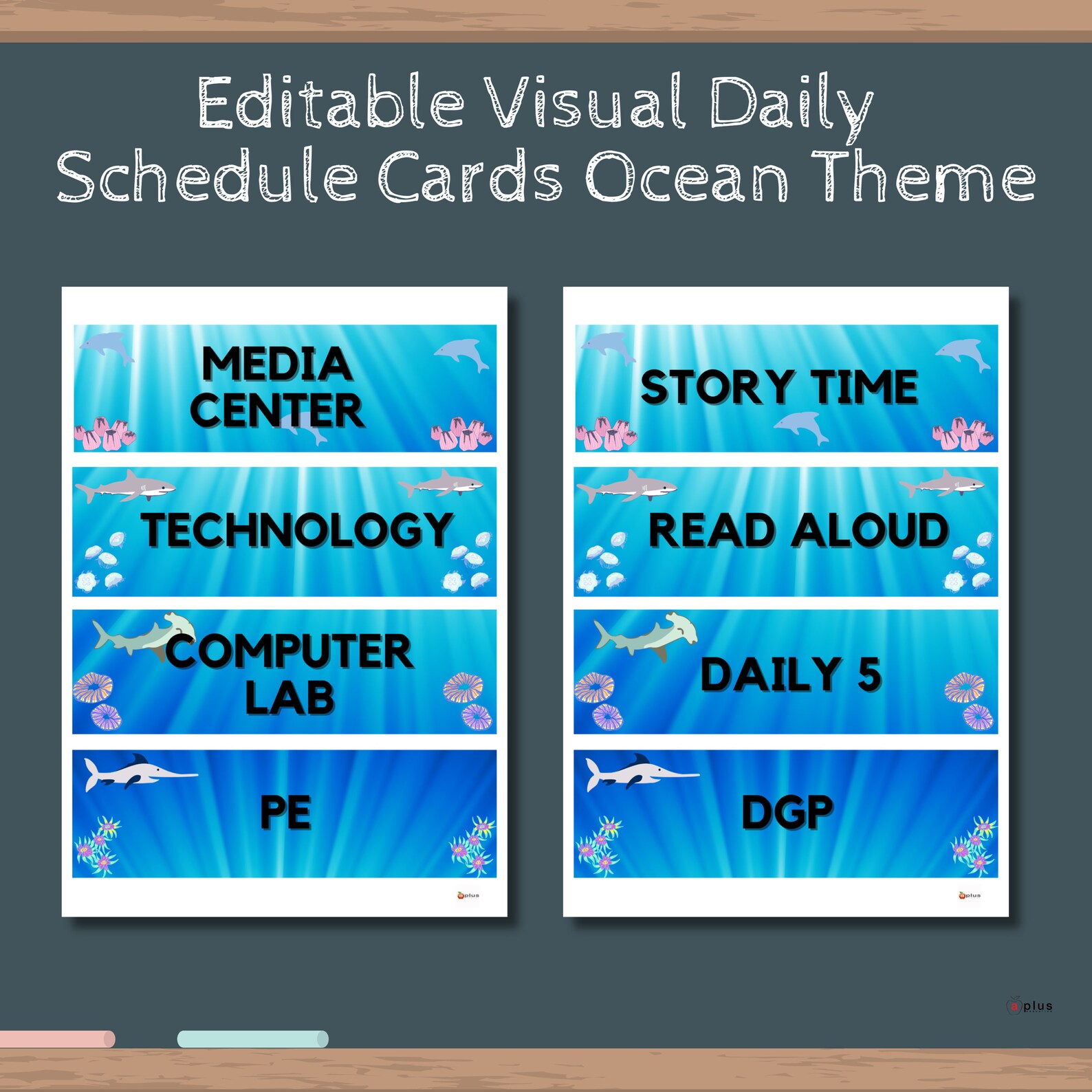 Ocean-themed Daily Agenda Display: Editable Classroom Schedule for ...
