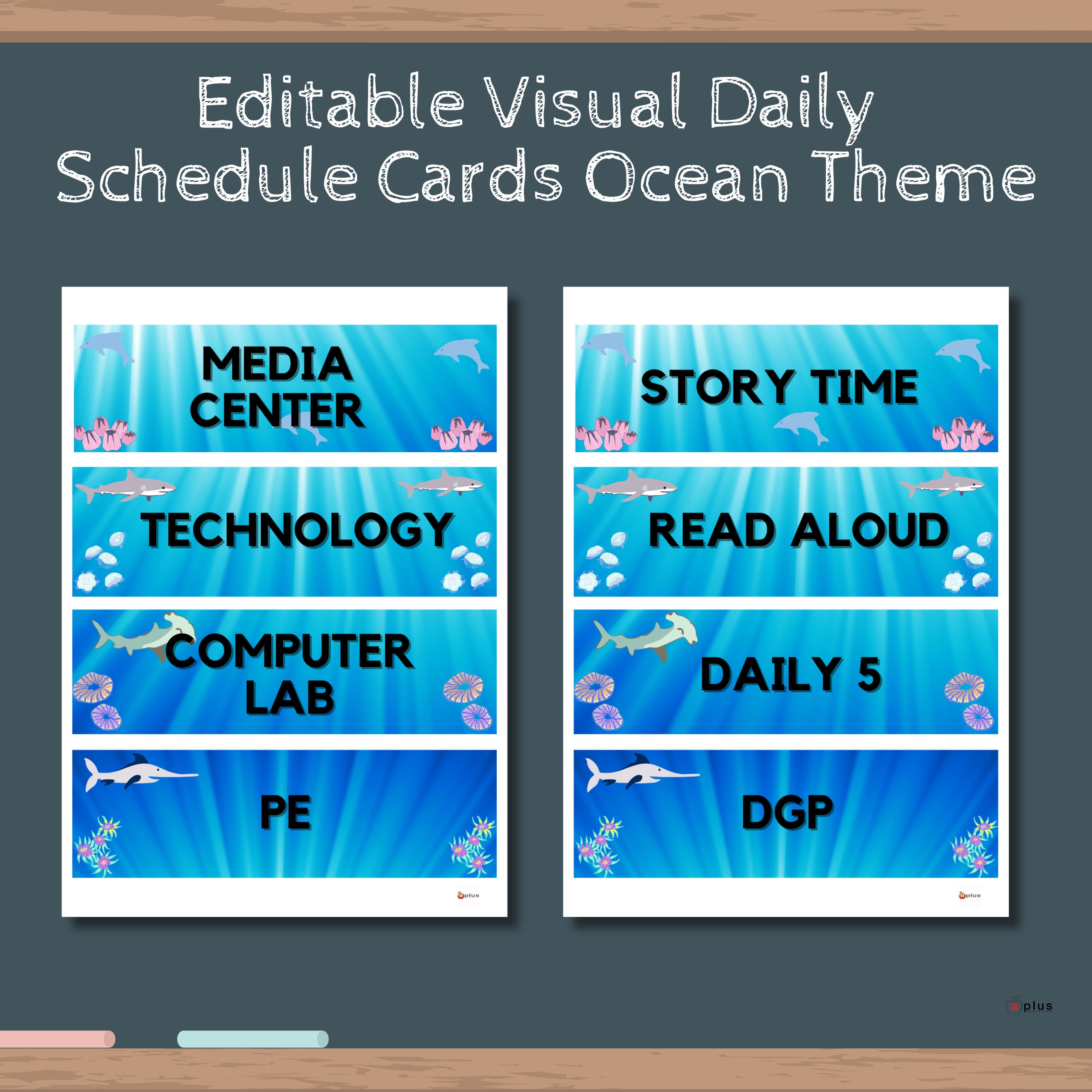 Ocean-themed Daily Agenda Display: Editable Classroom Schedule for ...