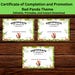 Certificate of Completion and Promotion Red Panda Theme End of Year ...
