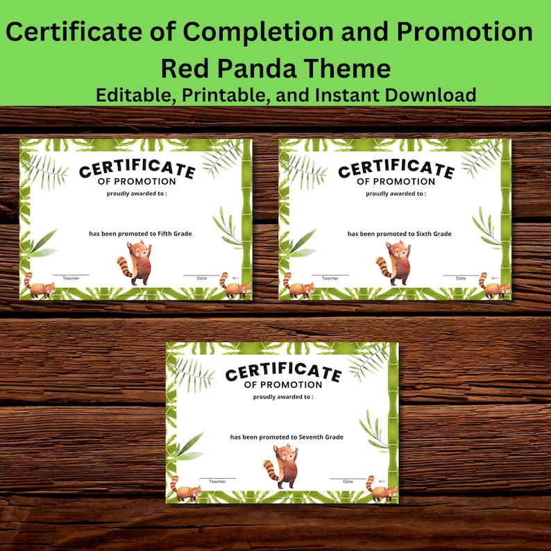 Certificate of Completion and Promotion Red Panda Theme End of Year ...