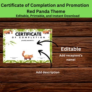 Certificate of Completion and Promotion Red Panda Theme End of Year ...