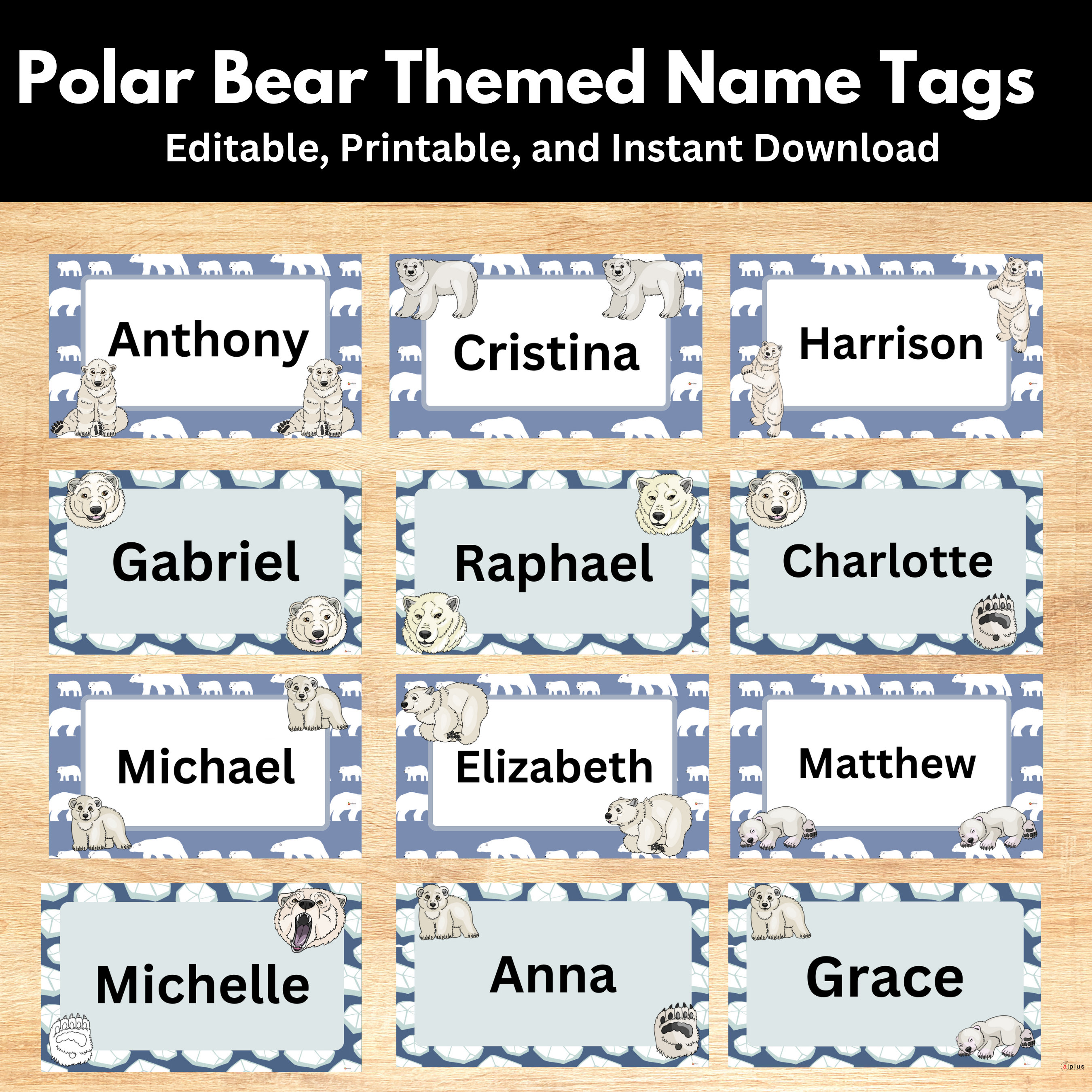 Editable Polar Bear Name Tags - Winter Themed Classroom Labels for ...