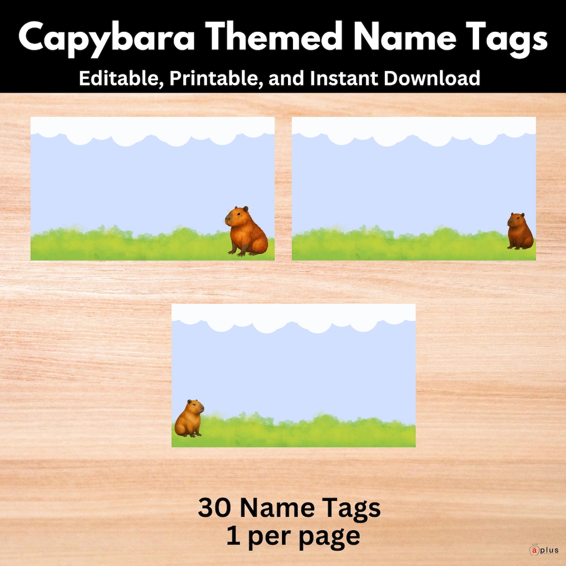Capybara Name Tags: Customizable Classroom Decor (powerpoint Digital ...