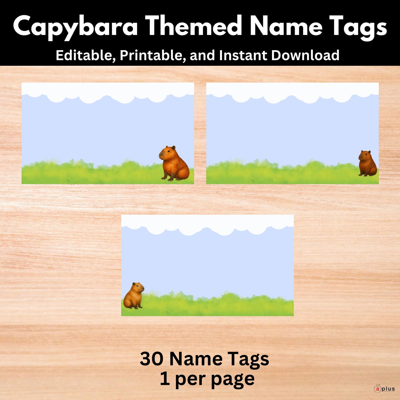 Capybara Name Tags: Customizable Classroom Decor (powerpoint Digital ...