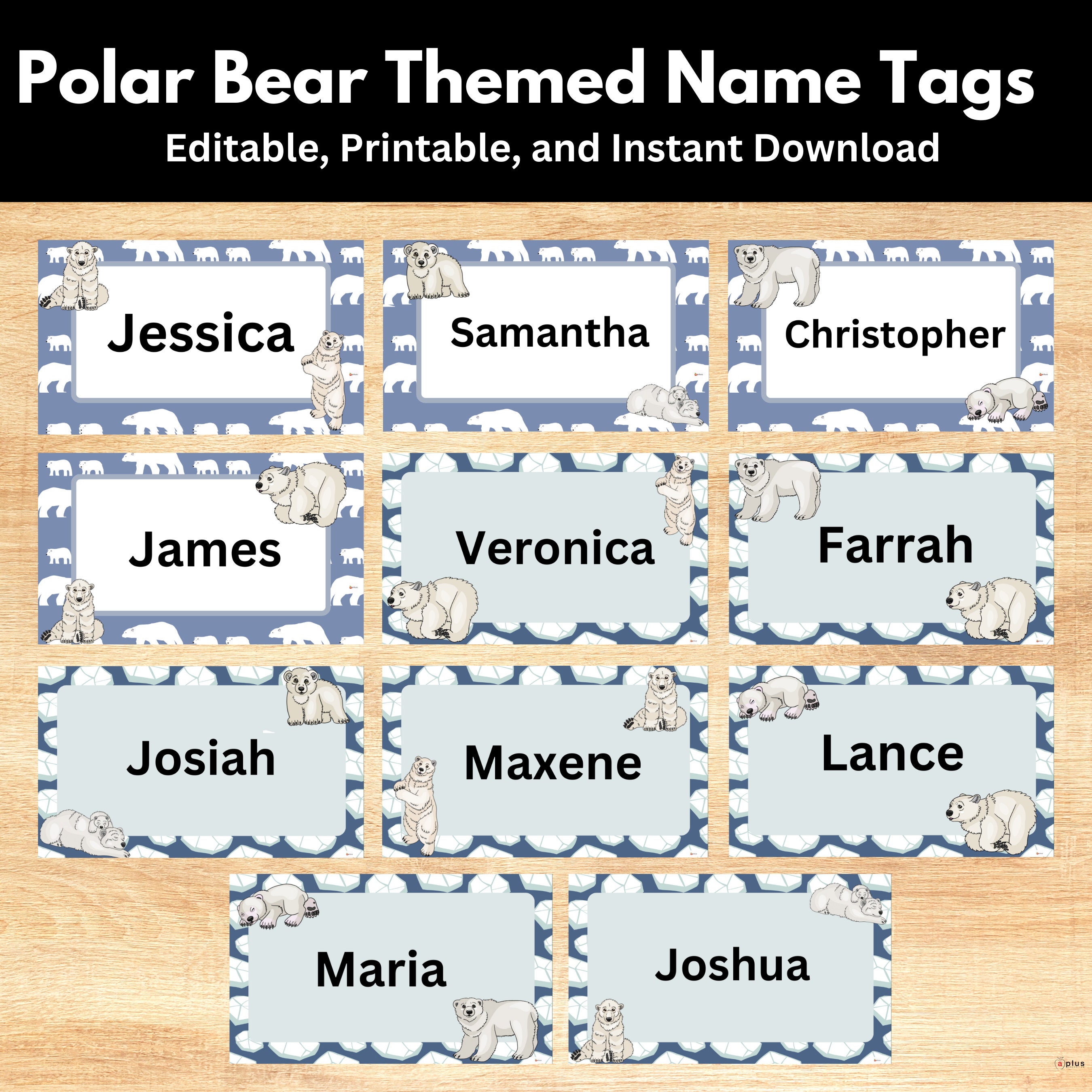 Editable Polar Bear Name Tags - Winter Themed Classroom Labels for ...