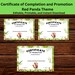 Certificate of Completion and Promotion Red Panda Theme End of Year ...