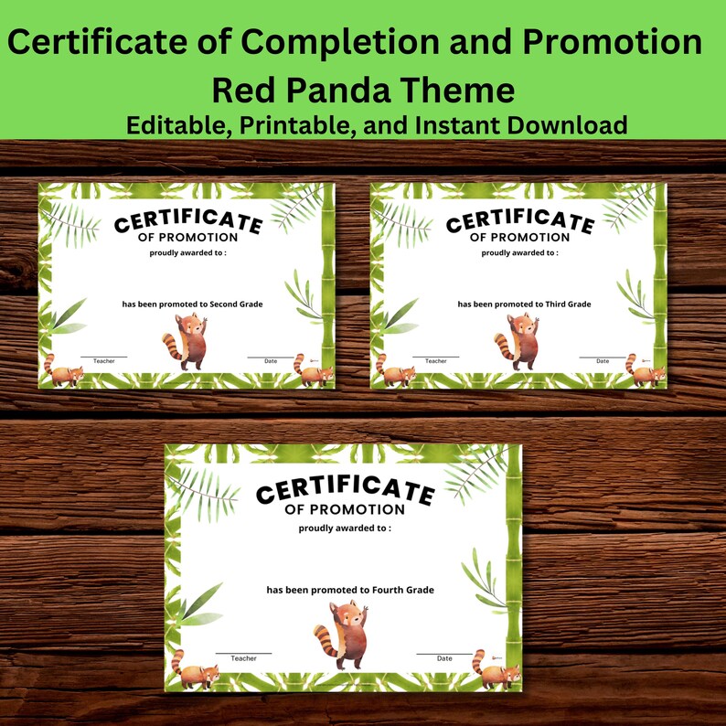 Certificate of Completion and Promotion Red Panda Theme End of Year ...