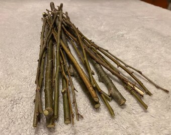 Willow Sticks - Etsy