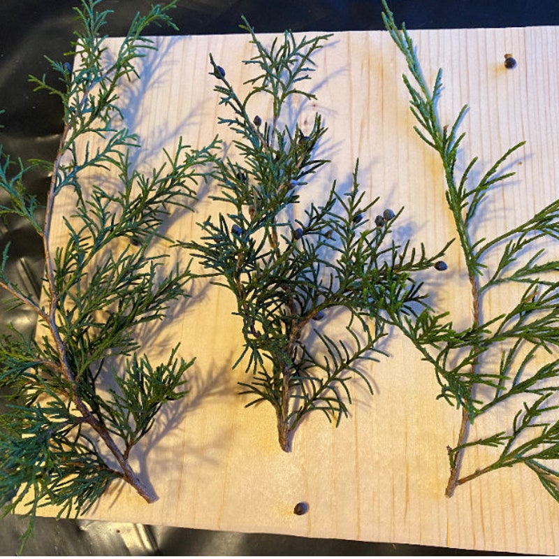 HomesteadingHaven - Etsy