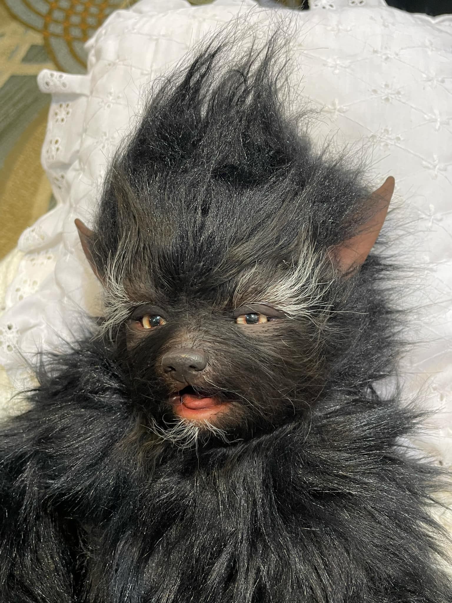 Made to Order - Werewolf Black Fabio Cuddle Body Silicone Werewolf Doll ...