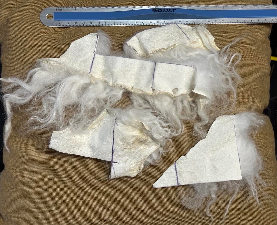 Tibetan Lamb Hair Left Over Pieces White Lambs Looks for - Etsy