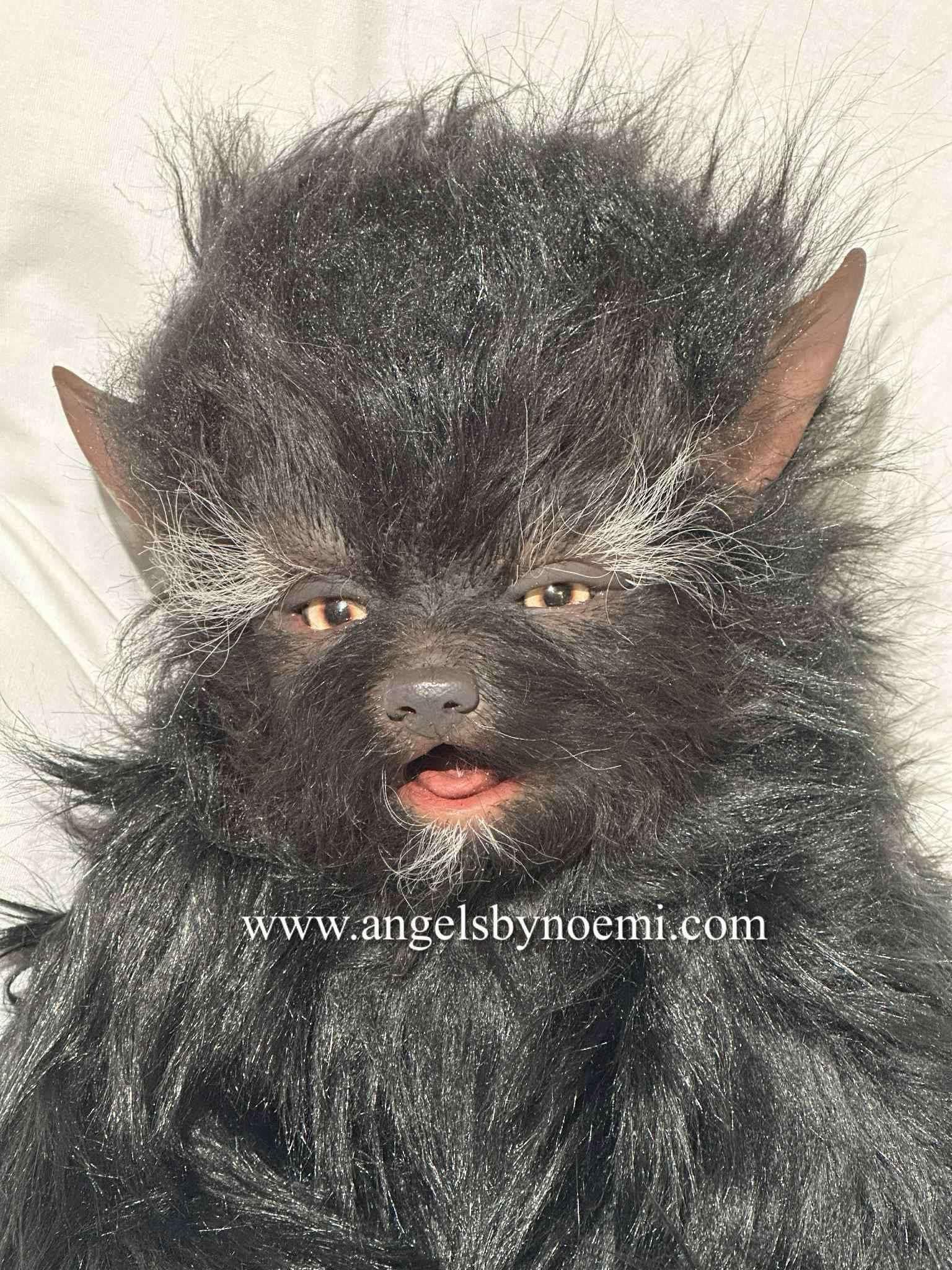 Made to Order - Werewolf Black Fabio Cuddle Body Silicone Werewolf Doll ...