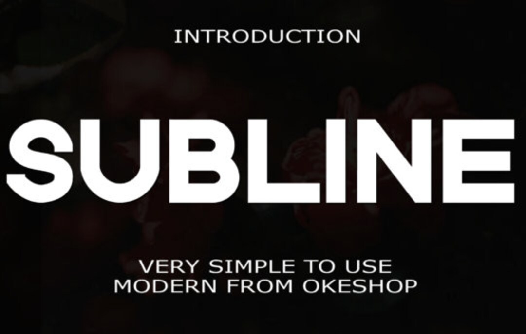 Subline Font, Unique Handwritten Font, Classic Serif Font, Retro ...
