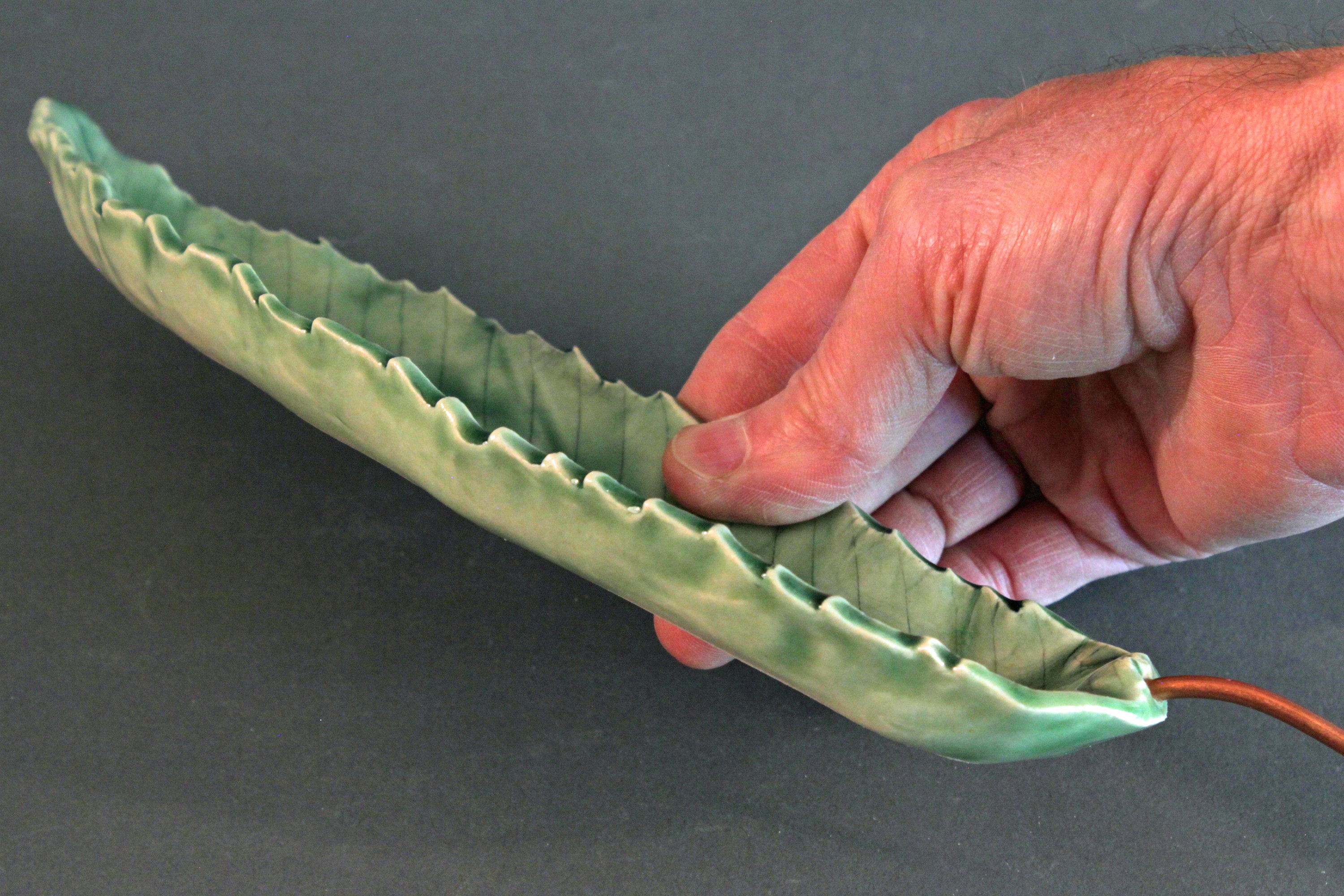 American Chestnut Leaf-ceramic Dish - Etsy