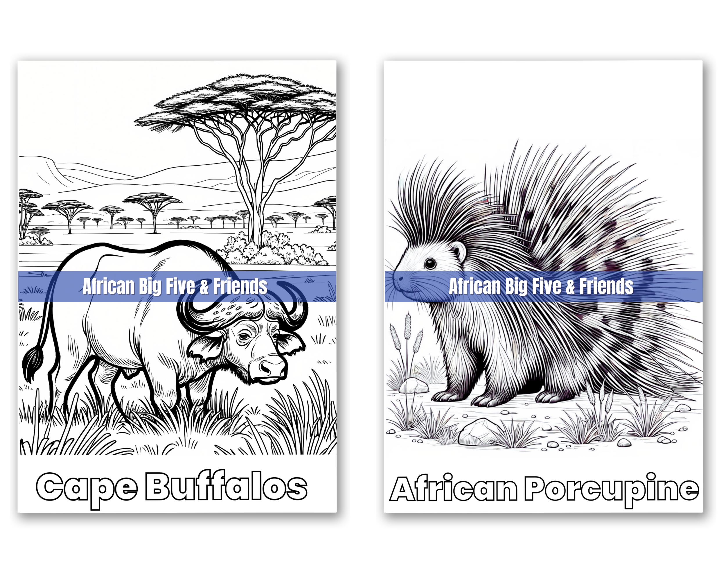 Animal Coloring Pages: Africa Big Five & Friends Coloring Book by ...