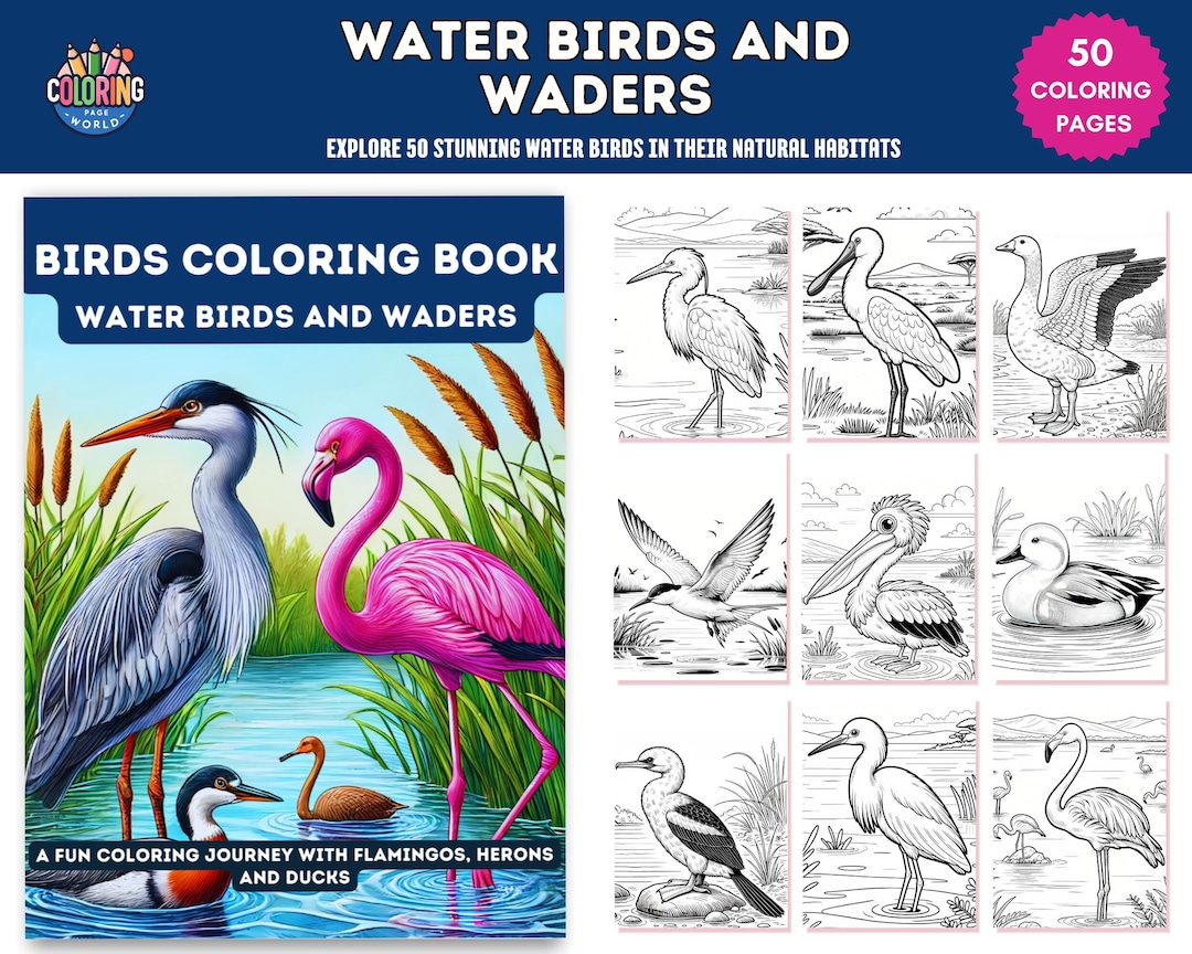 Birds Coloring Pages: Water Birds & Waders by Coloringpageworld | 50 ...