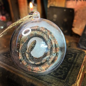 Mummified Snake Specimen Orb - Etsy