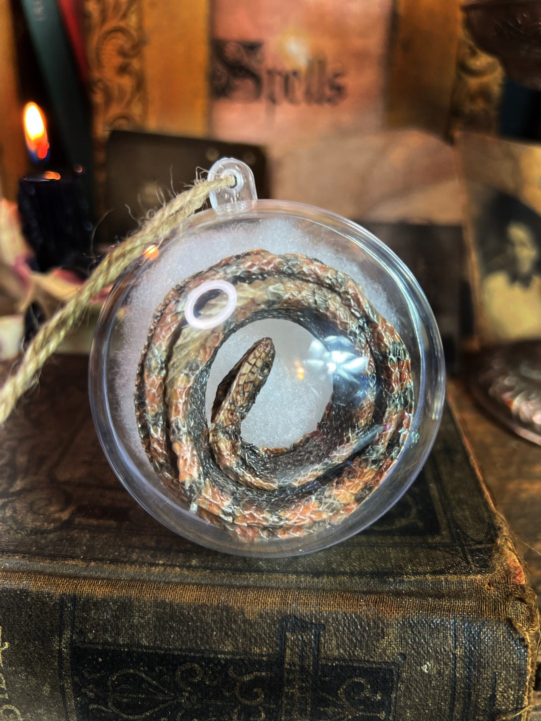 Mummified Snake Specimen Orb - Etsy