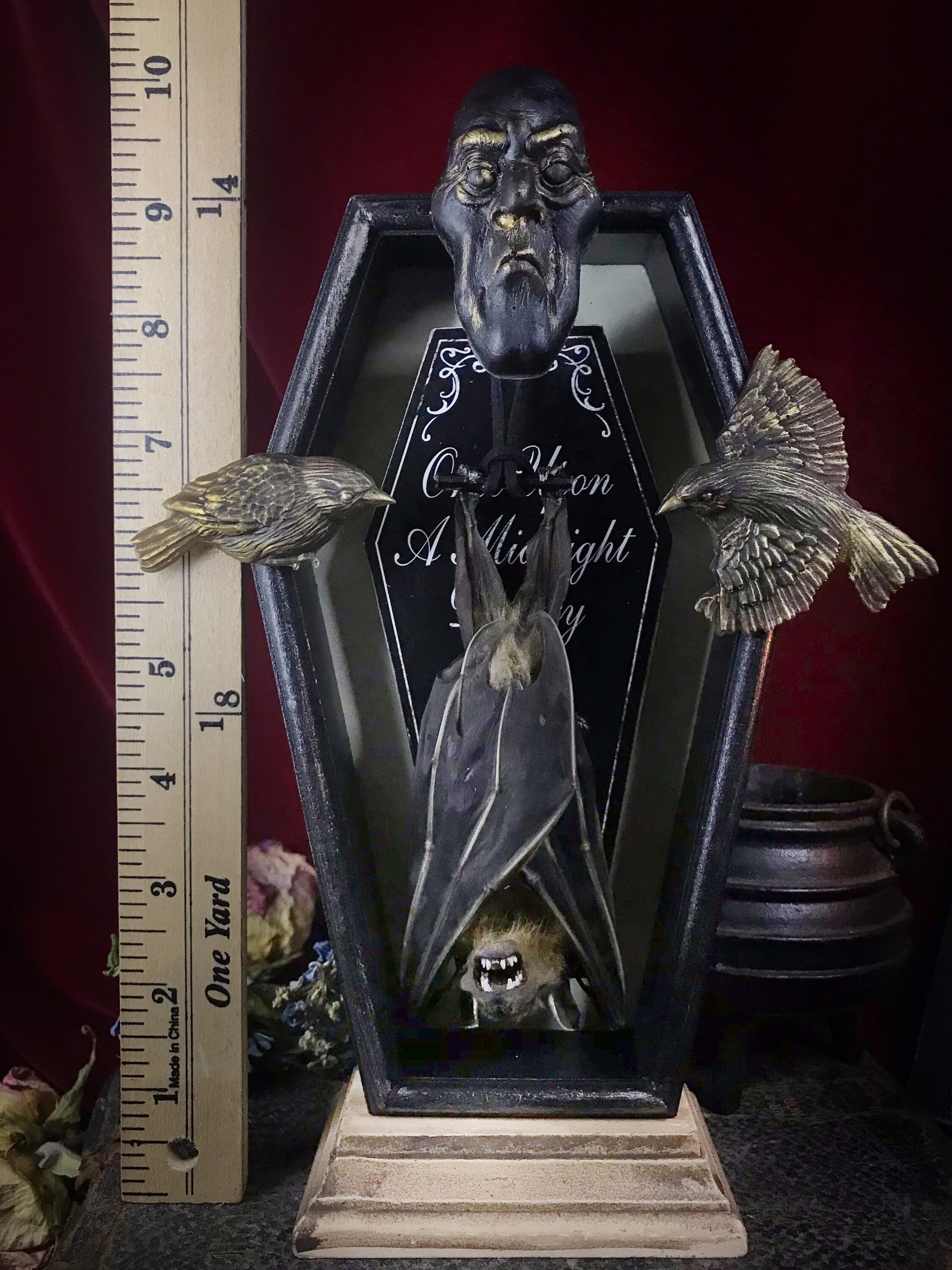 Oddities and Curiosities Hanging Bat Taxidermy Bat Coffin | Etsy