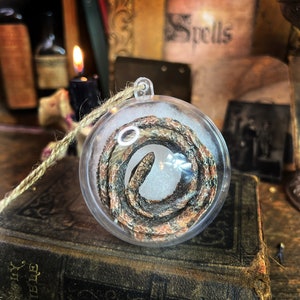 Mummified Snake Specimen Orb - Etsy