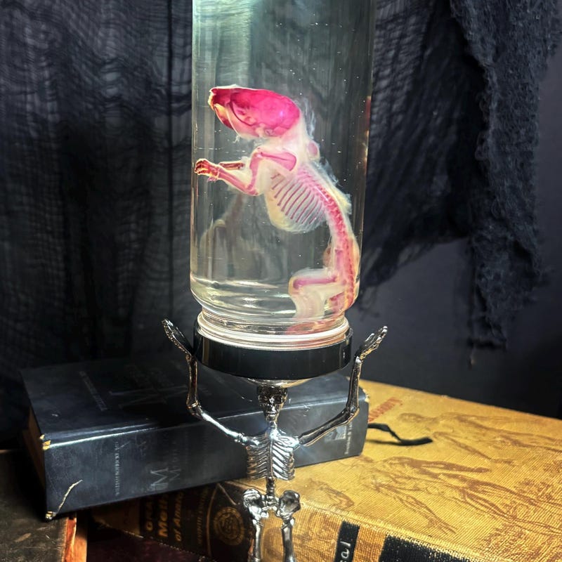 Diaphonization - Etsy