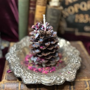 Wish-craft Pinecone Wishing Spell - Etsy