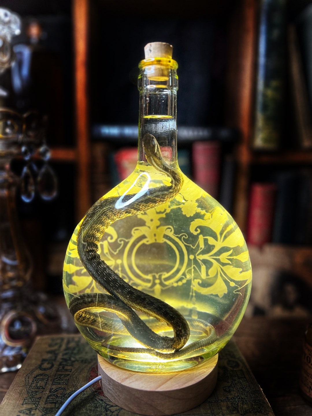 Lighted Snake Specimen in Vintage Etched Glass Vessel - Etsy