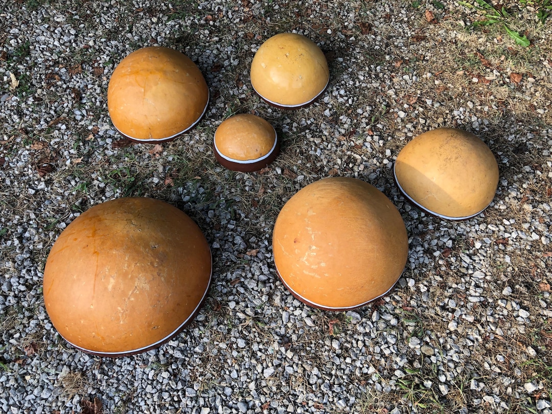 Calabash Gourds , Gord Drum, Water Drum Hand Percussion African ...