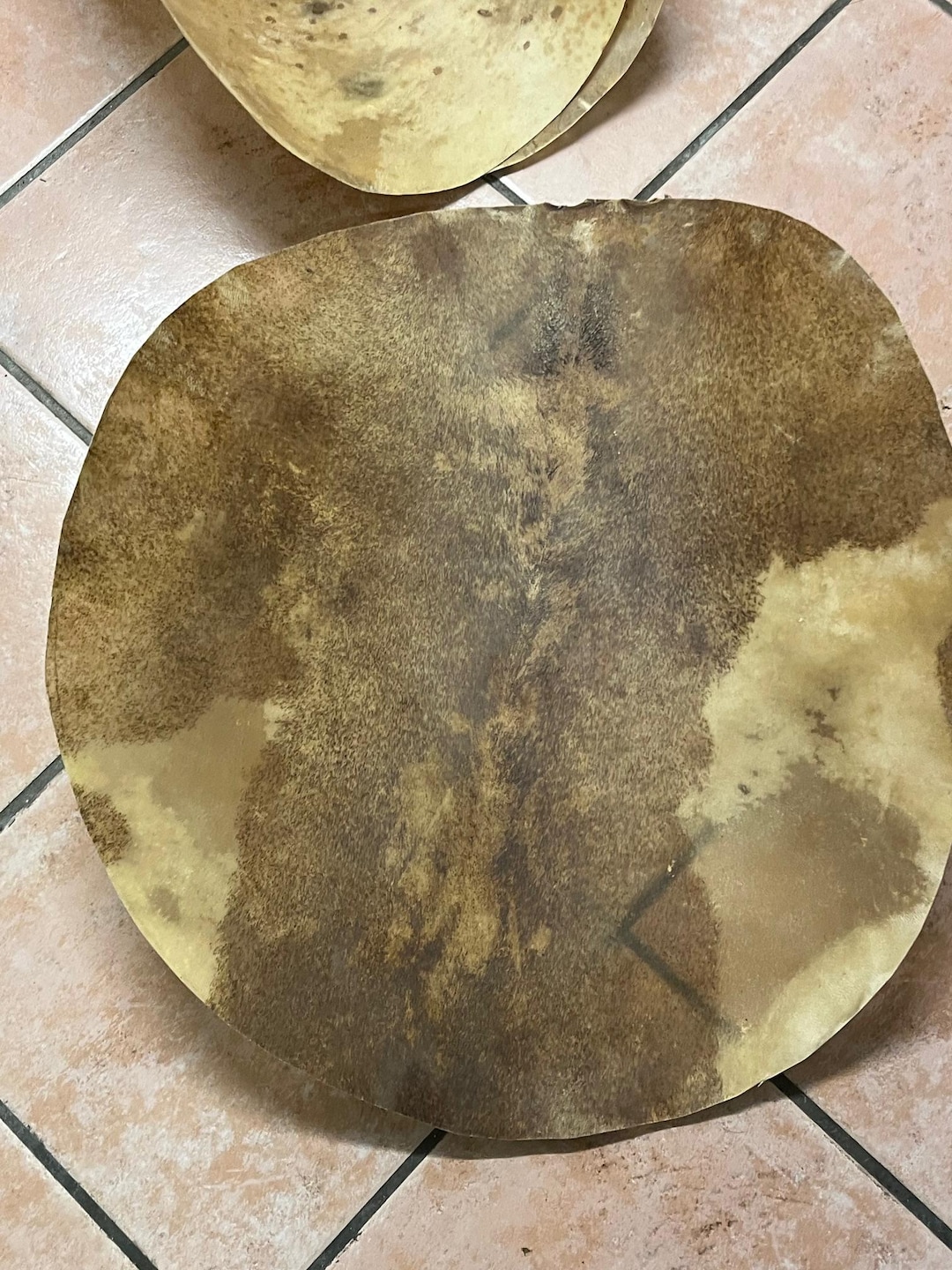 22 Inch Deer Skin 55cm Y5thick, Shaman Drum. Djembe and Frame Drum Skin ...