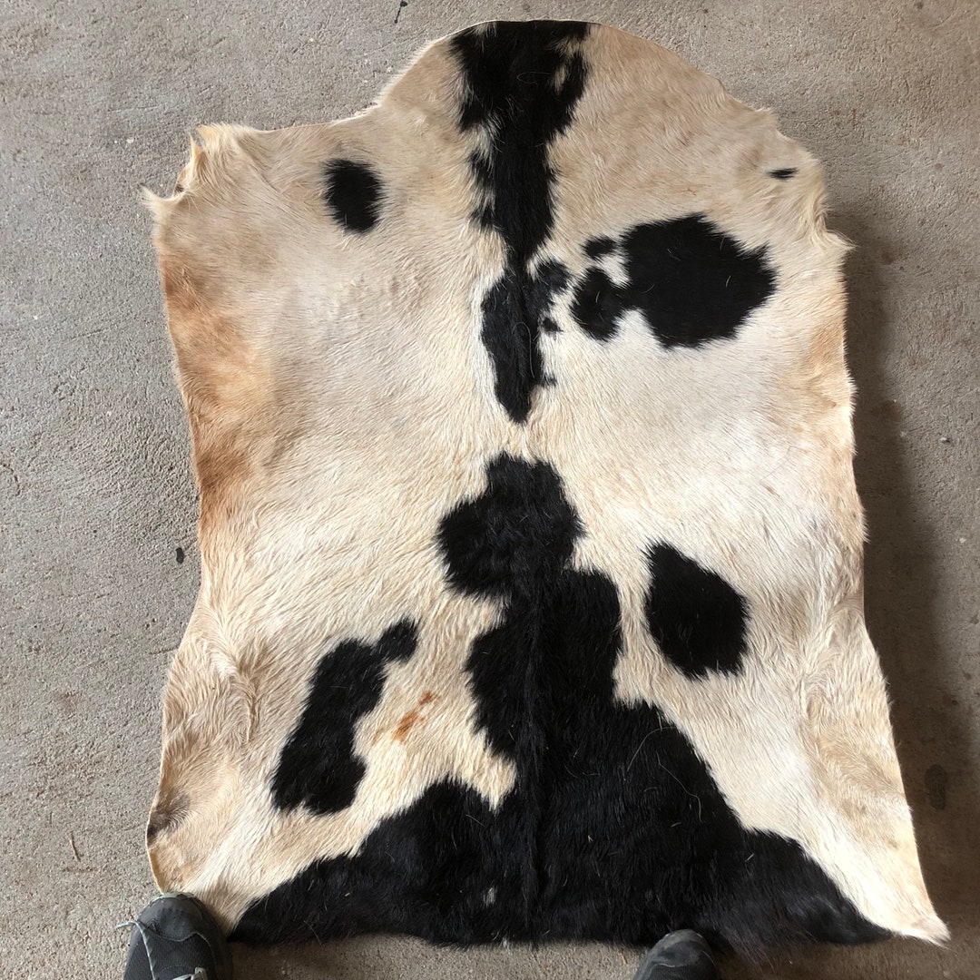 Full Extra Large Goat Skin With Hair for Shaman Drum or Drums or Frame ...