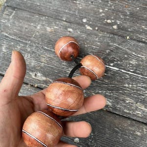 Medium Size Size Aslato, Aslatua, Asalato, Cas Cas,patica, Televi ...