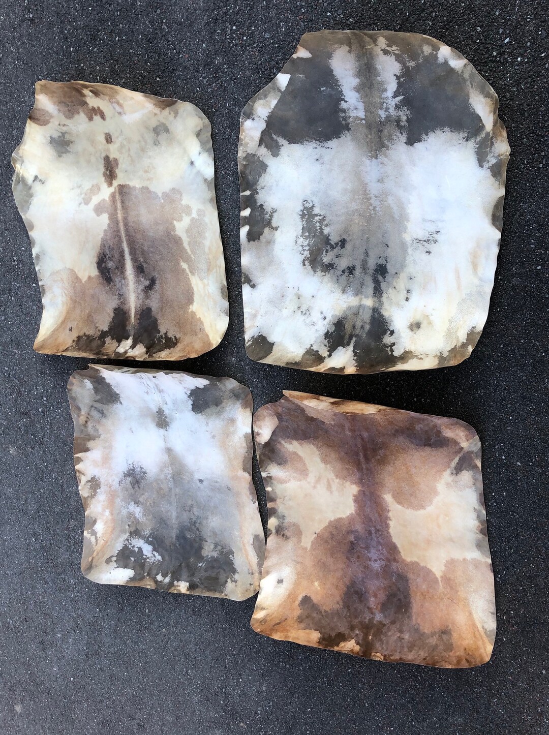 Full Extra Large Goat Skin for Shaman Drum or Drums or Frame Drums. Raw ...