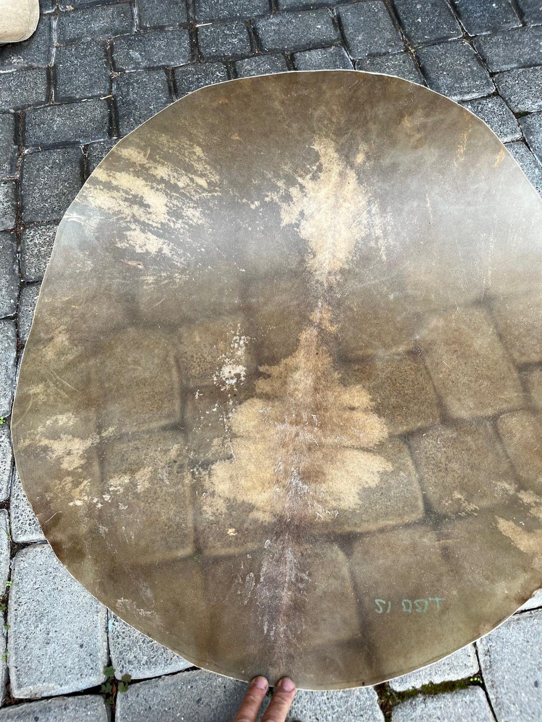 Thick 32inch Deer Skin Tbb12for Shaman Drum 32inch, 82cm . Medicine ...